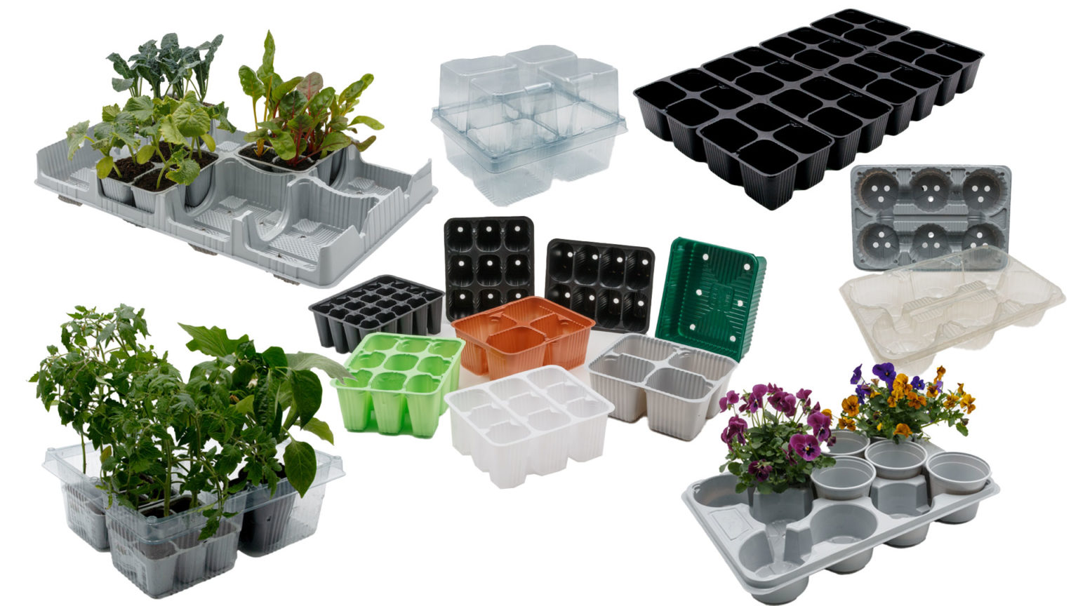 ILIP Hortipack | Horticultural Packaging